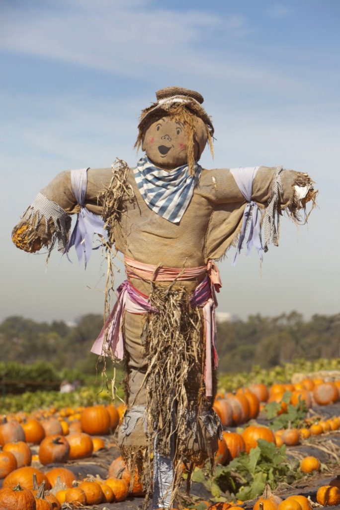 How to Make a Scarecrow That Actually Works - Countryside